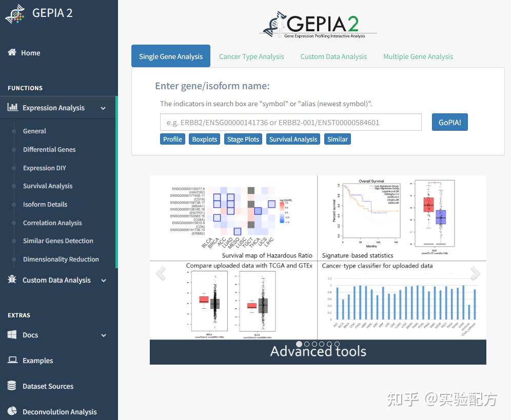 GEPIA 2———可以不代码的网站 - 知乎