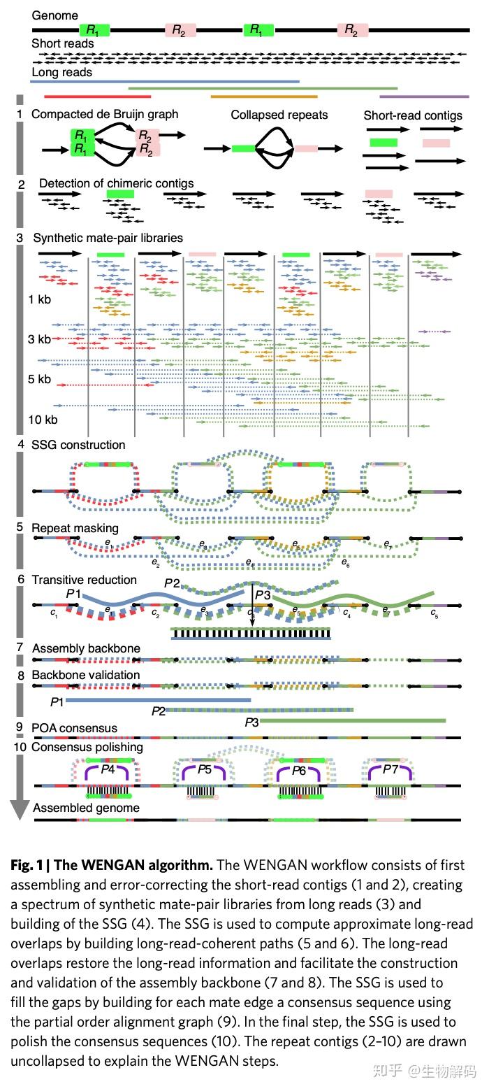 每日文摘 | 2020年12月17日 - 知乎