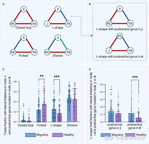 Ann Neurol︱解放军总医院于生元/董钊团队揭示偏头痛重叠连边社区的丘脑-皮层异常交互模式 - 知乎