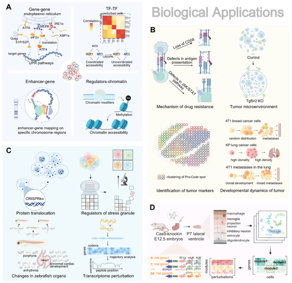 Adv Sci 综述｜范骁辉/王毅团队评述基于CRISPR和单细胞组学的大规模基因筛选技术及其应用 - 知乎