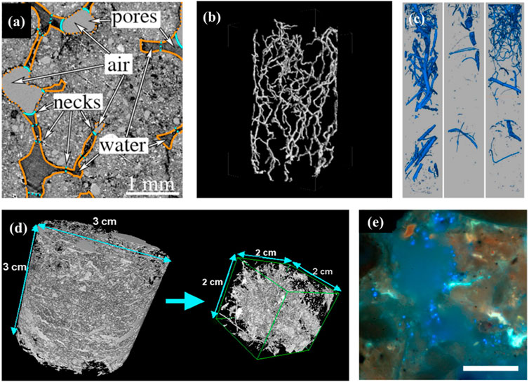 X射线计算机断层扫描在土壤和植物中的应用 - 知乎