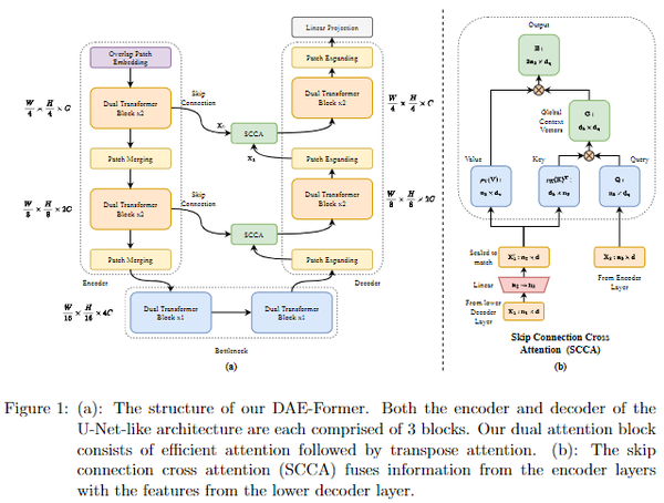 Dae Former：用于医学图像分割的双注意引导高效transformer 知乎