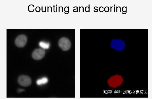 开源科学工程技术软件介绍59 – 细胞图像分析软件CellProfiler - 知乎