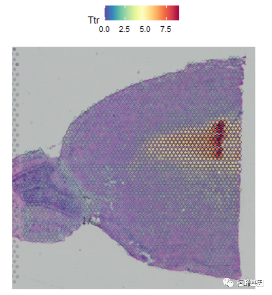 SCS【21】单细胞空间转录组可视化 (Seurat V5) - 知乎