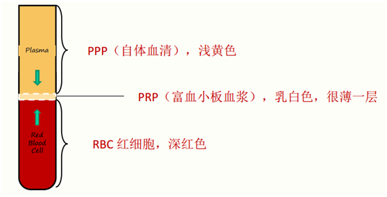 什么是PRP?是什么作用原理？有什么功效？ - 知乎