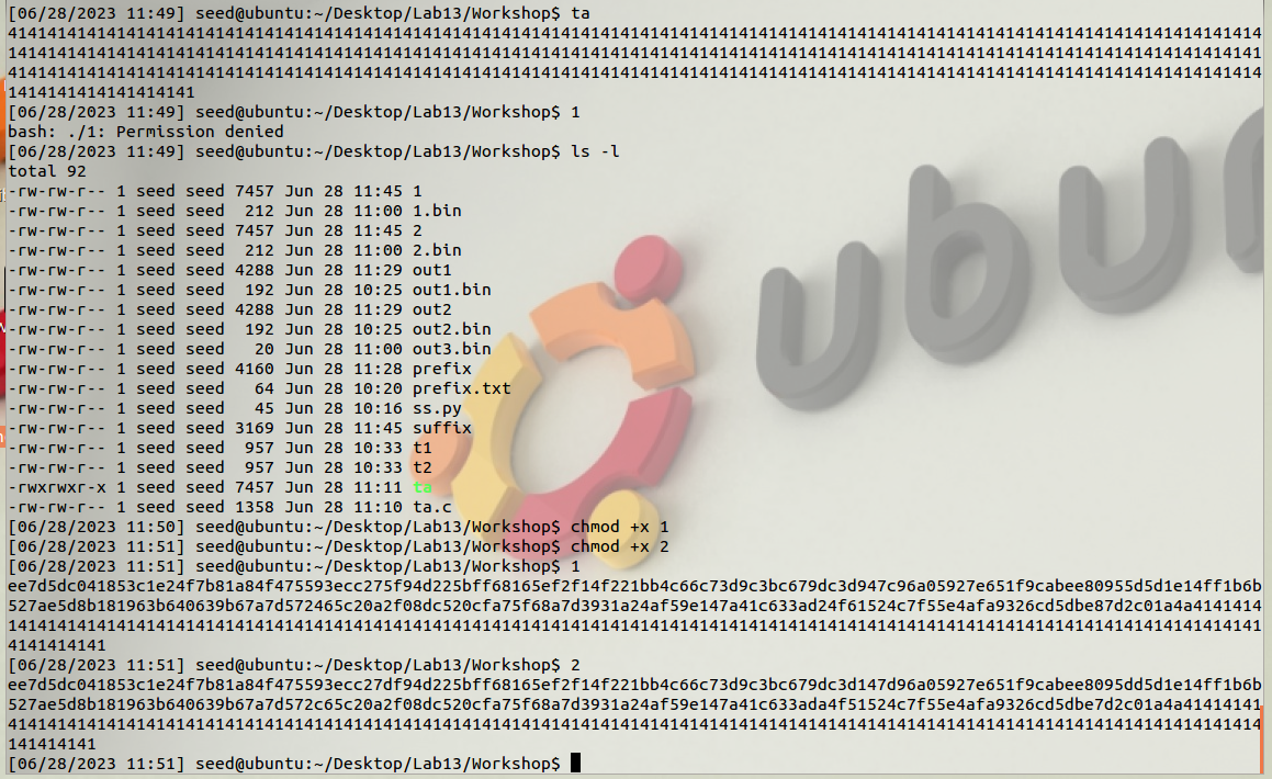 漏洞分析 Lab13 MD5 Collision Attack Lab - 知乎