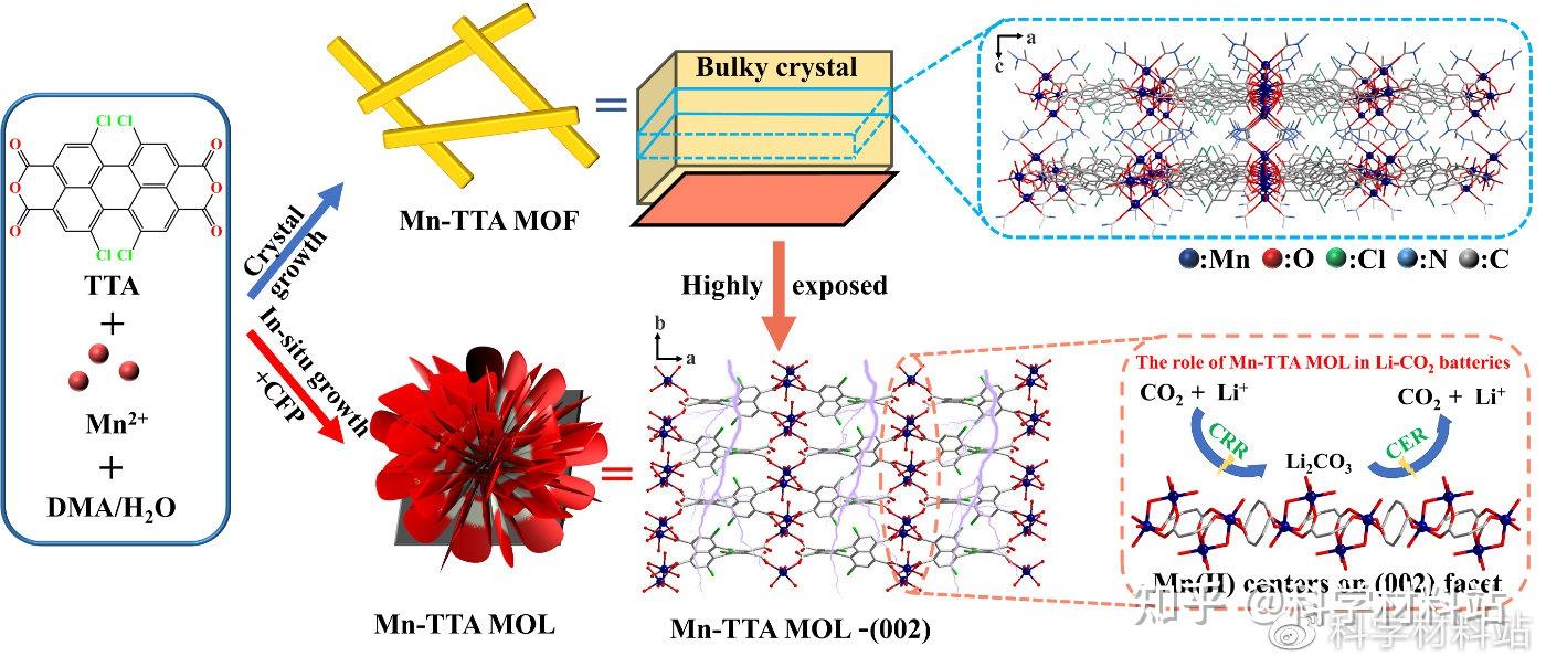 程志斌副教授&张章静研究员，JMCA：金属有机层的结构设计助力稳定的Li-CO2电池 - 知乎