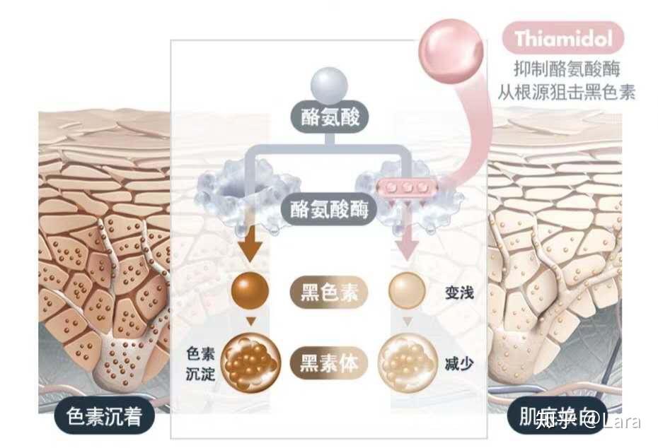 试用报告 Eucerin优色林美白淡斑双管精华 知乎