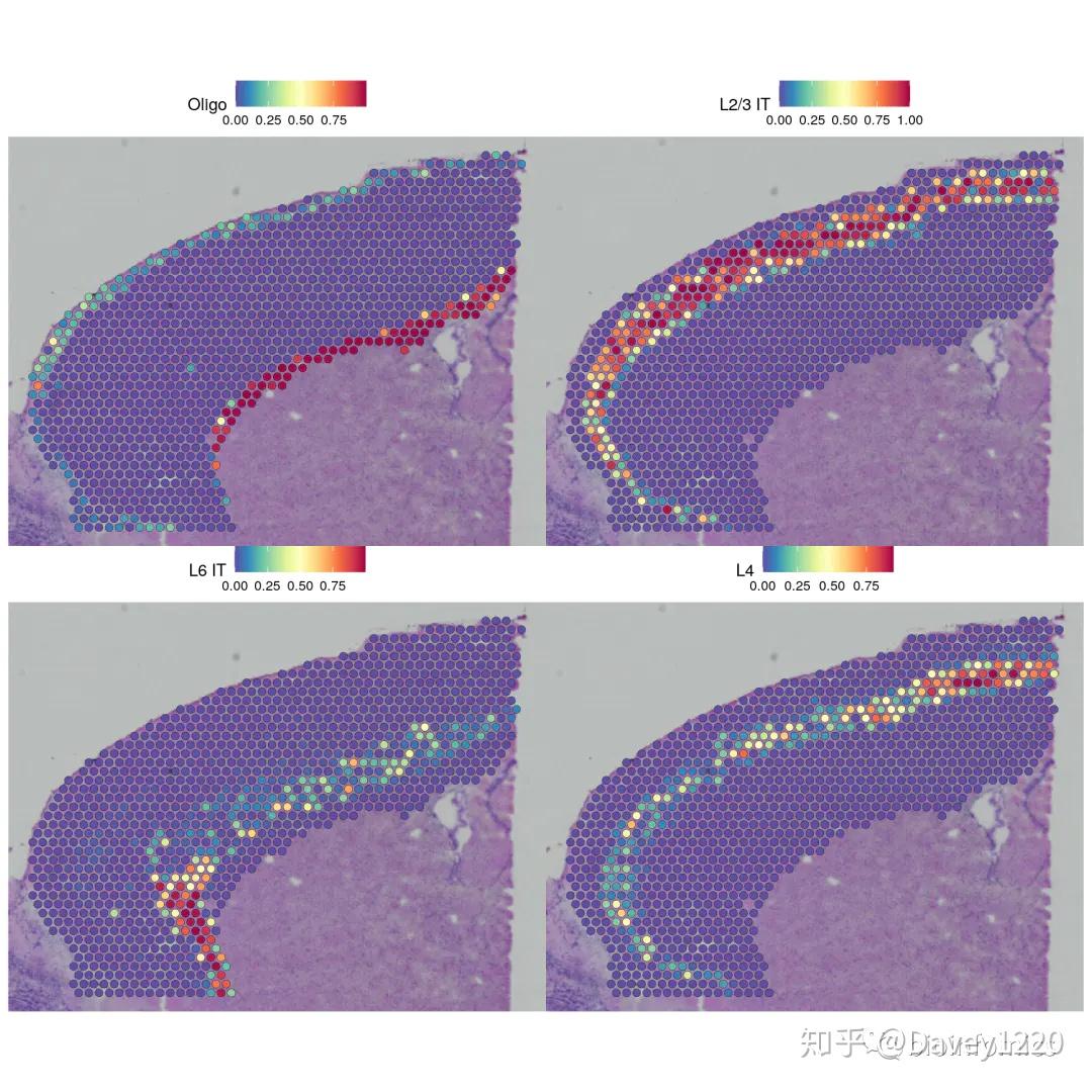 Seurat包学习笔记（三）：Analysis of spatial datasets - 知乎
