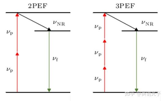 奥创光子 | 多光子成像技术原理、特点及光源选择标准分析 - 知乎