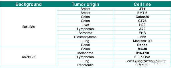 小鼠种类汇总（持续完善ing） - 知乎