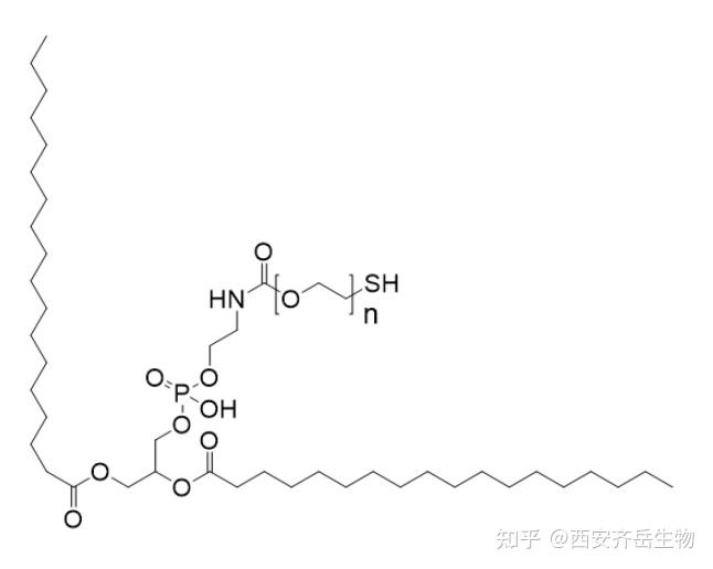 DSPE-PEG-SH，DSPE-PEG2000-Thiol 巯基聚乙二醇磷脂在脂质体靶向载药系统中的应用案例 - 知乎
