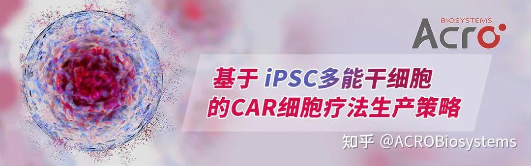 基于iPSCs的CAR细胞疗法生产策略 - 知乎