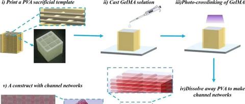 《Materials & Design》：水凝胶牺牲模板法结合3D打印定制具有通道网络的支架材料 - 知乎