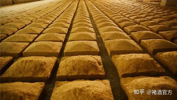 酱香工艺的时间密码 知乎