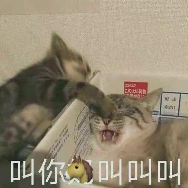 80张最近很火的发疯表情包|精神状态|无水印表情包 - 知乎