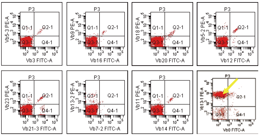 TRBC1 & TRBC2新品上市！更简单高效评估T细胞克隆性的新方法 - 知乎