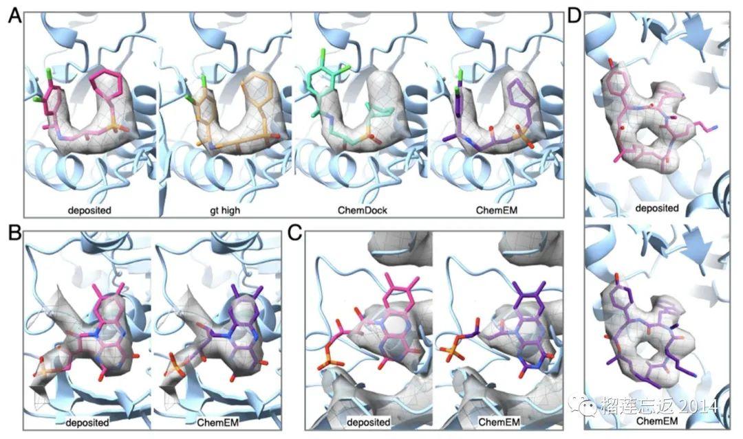 ChemEM 提升小分子与 cryo-EM 图谱对接的精度 - 知乎
