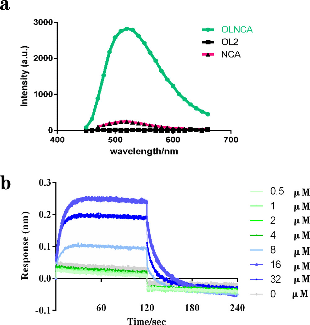原理到应用：深度了解生物膜干涉技术 - 知乎