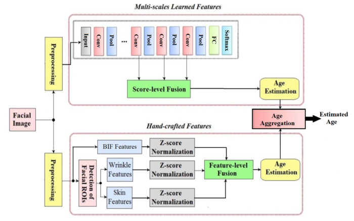 一篇弄懂人脸年龄估计 - 知乎