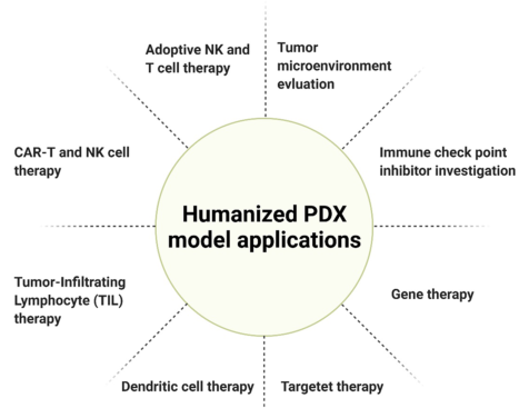 具有更好临床相关性的肿瘤小鼠模型： PDX模型 - 知乎