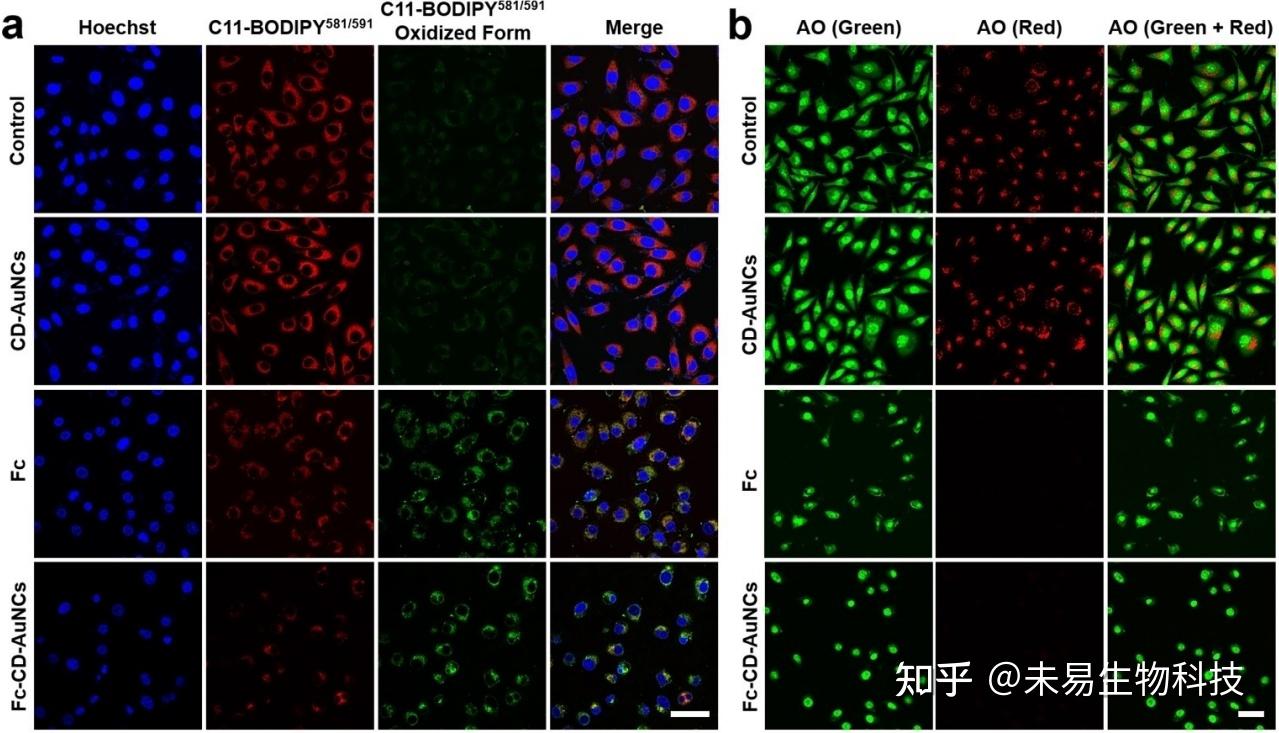 福州大学林立森团队Angew. Chem. Int. Ed. - 知乎