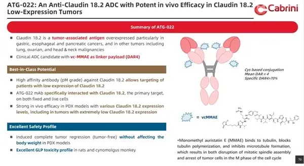 德琪医药布局CLDN18.2 ADC：针对CLDN18.2低表达有效，抗体细节在ADC开发中不容忽视 - 知乎