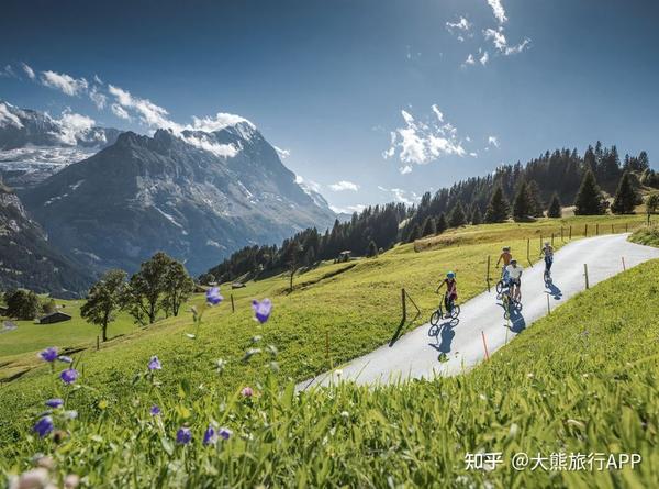 初夏去瑞士少女峰山区最合适玩First山的四大冒险项目 - 知乎