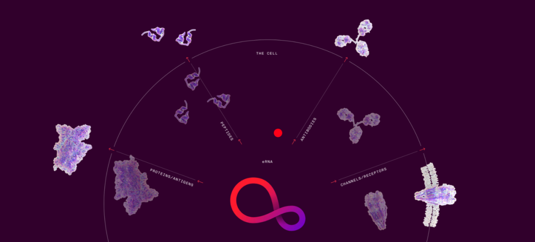 被称为“Moderna 2.0”的环状RNA公司Laronde涉嫌数据造假，相关临床应用或被迫停滞 - 知乎