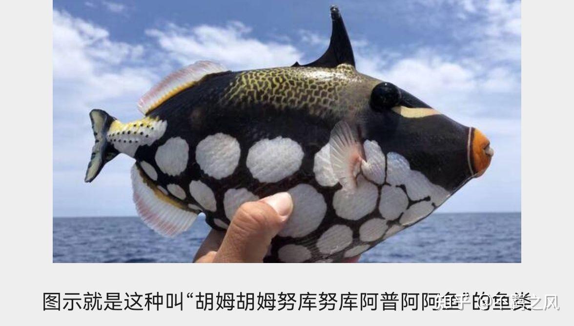 世界上名字最长的鱼。 - 知乎