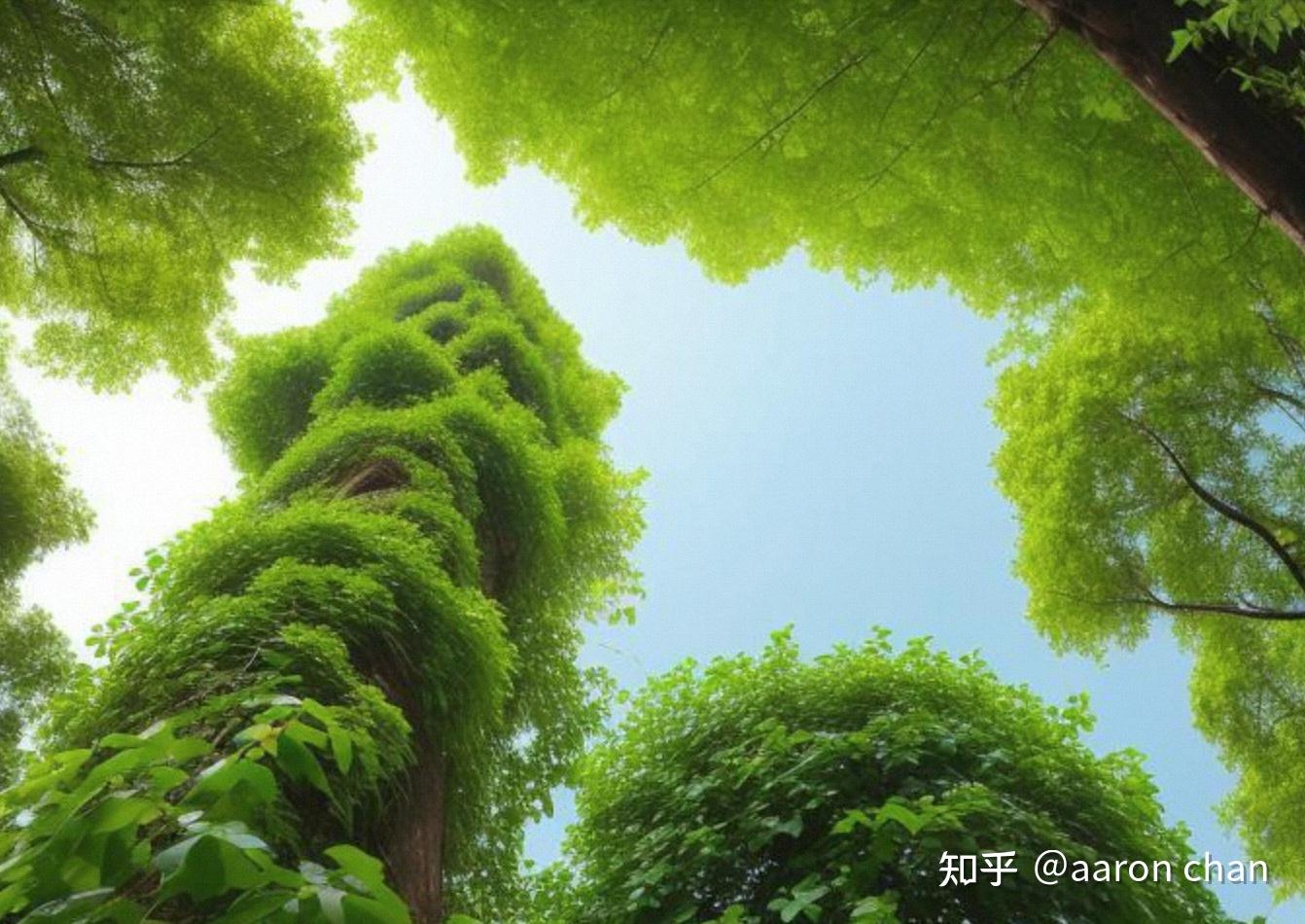 用ChatGPT+SD生成一个童话故事绘本 - 知乎