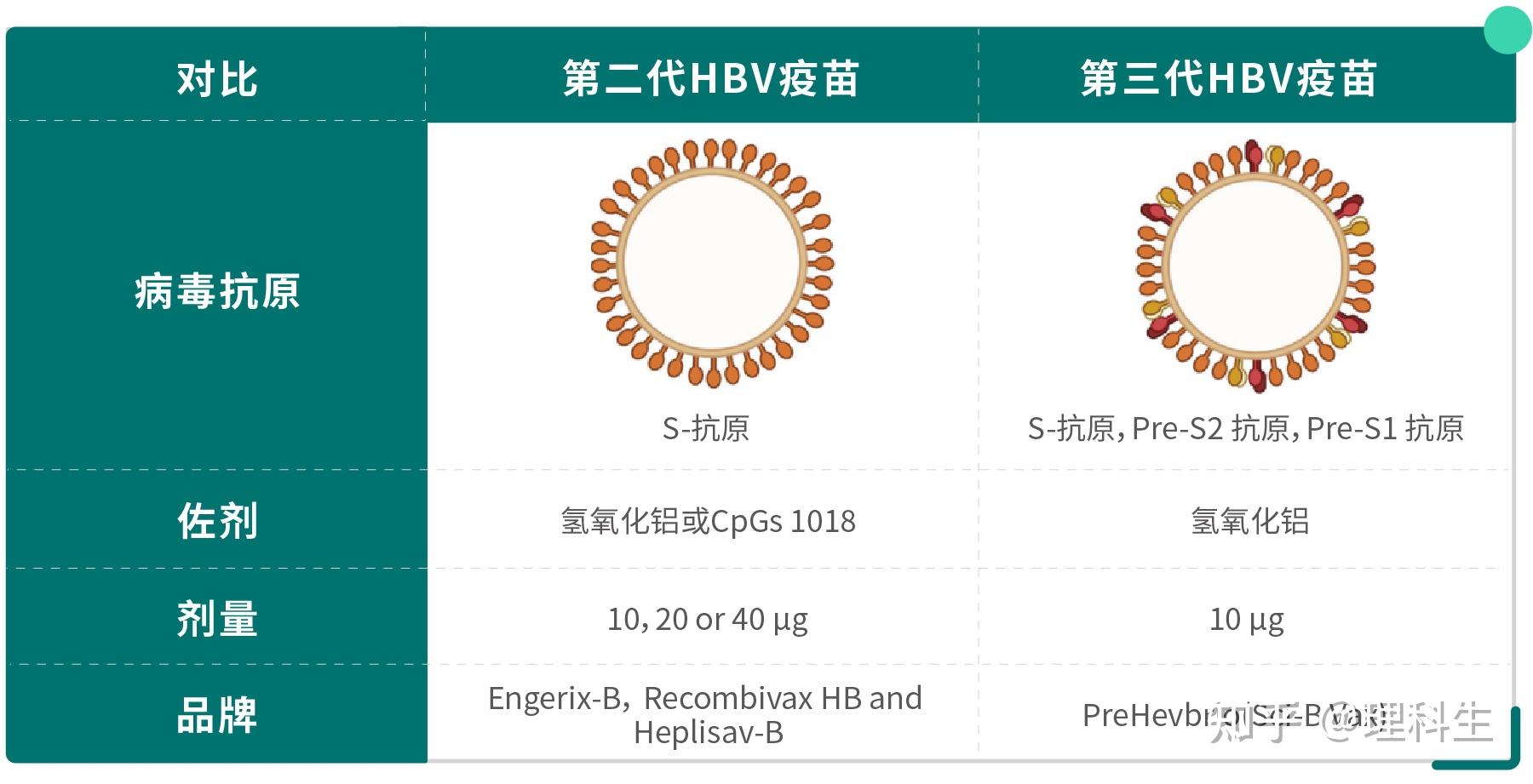 病毒样颗粒疫苗及其纯化工艺简介 知乎