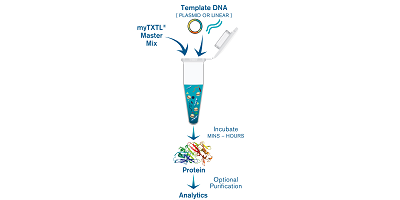 你不知道的关于TXTL的实用知识 - 知乎