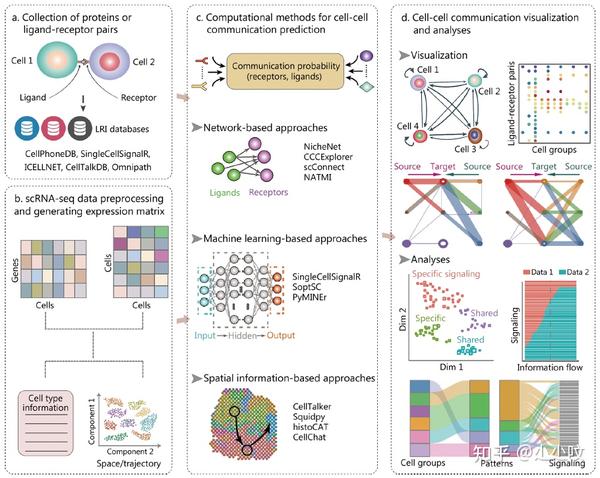 超详细 | 生物医学研究和临床应用中scRNA-seq的数据分析指南 - 知乎