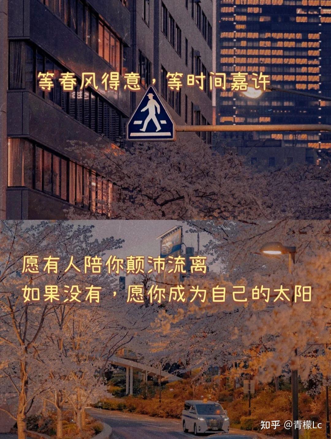 女生到底要不要主动追男生呢? 知乎