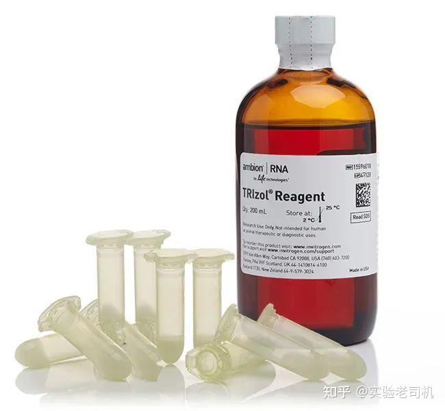 手把手教学——TRIZOL法提取细胞中的总RNA - 知乎