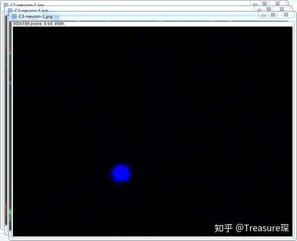 ImageJ实用技巧——荧光&明场图片合并和分割(基本功能篇) - 知乎