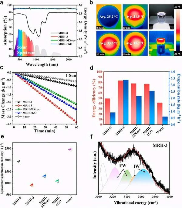 南京林业大学杨小飞《ACS Nano》烯/PVA/壳聚糖水凝胶表面图案化, 用于高产太阳能蒸汽 - 知乎