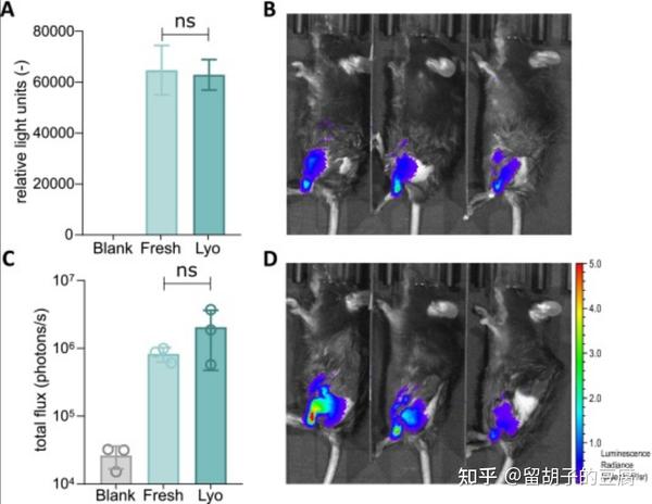 连续冻干mRNA疫苗，实现高温长久存贮。 - 知乎