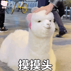 草泥马专属表情包 - 知乎