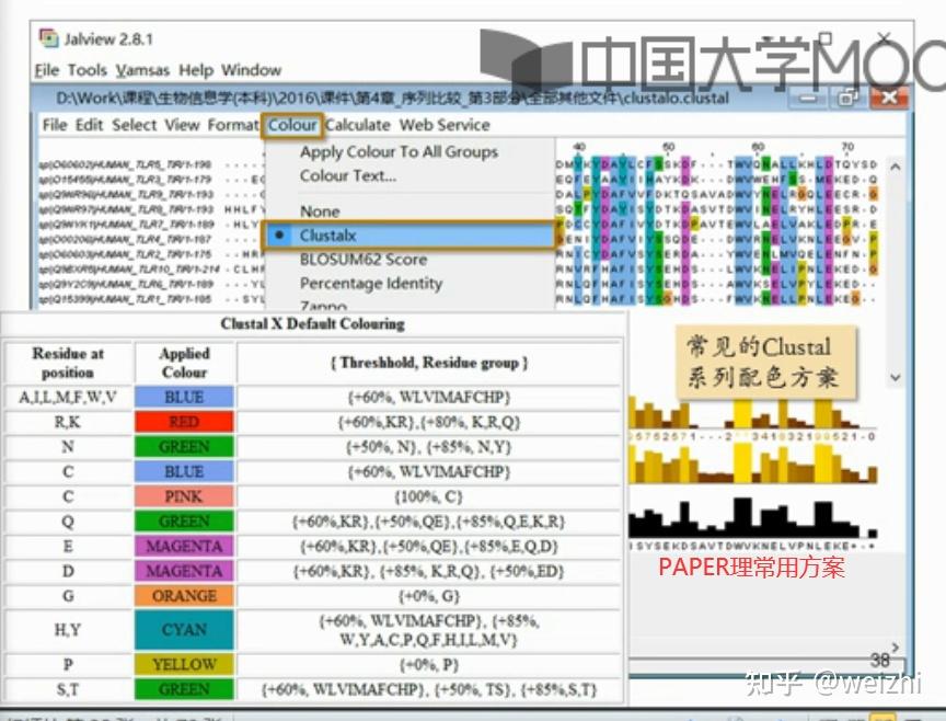 Clustalw— 多序列比对分析 Clustal W And Clustal X Multiple Sequence Alignment 3033