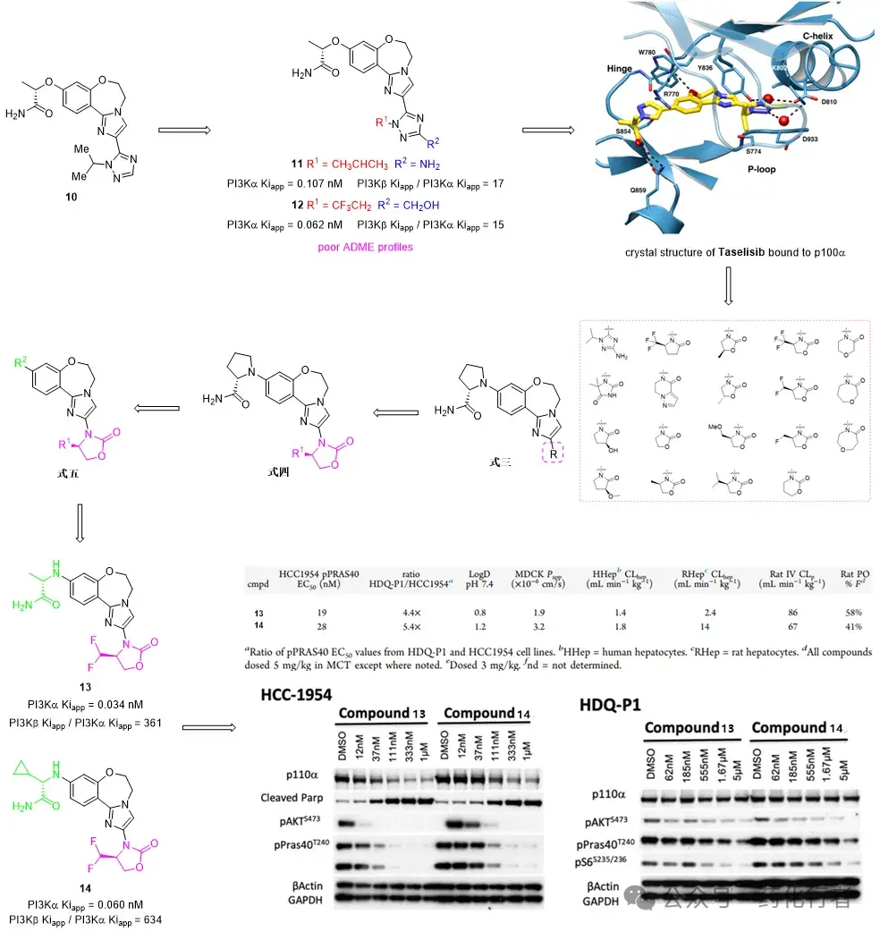药物设计思路解析——伊那利塞（Inavolisib） - 知乎