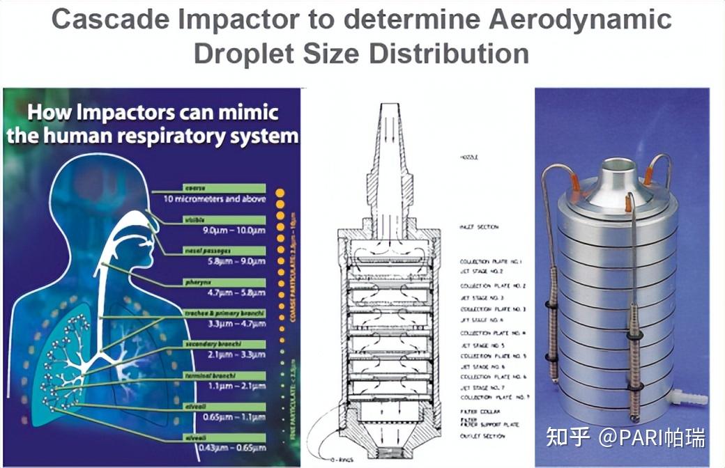 雾化器的MMD和MMAD有啥区别？ - 知乎