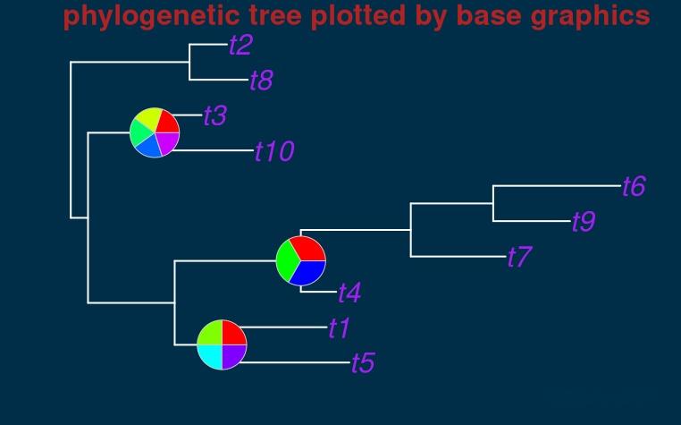 base plot的图形语法 - 知乎
