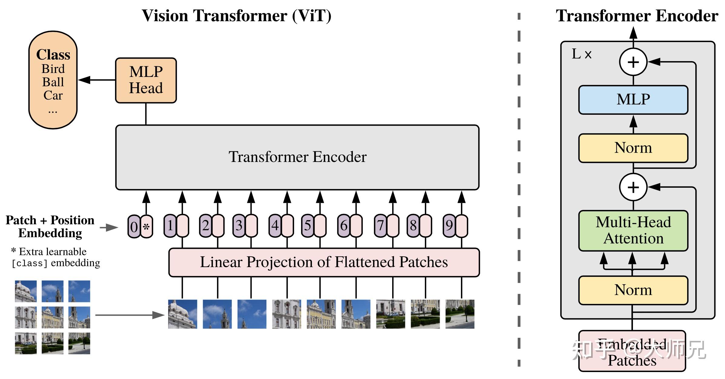 CV预训练MAE（Masked AutoEncoder） - 知乎