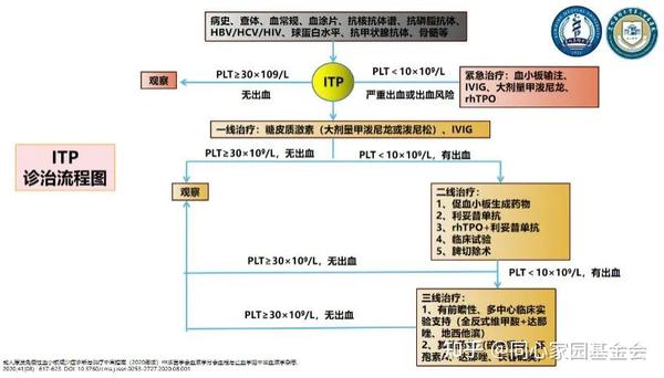 专家讲座 | ITP患者必读，周泽平教授带您解读治疗全方案 - 知乎