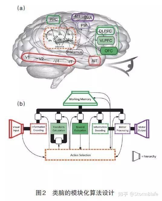 不是大模型，而是「类脑科学」才是人工智能的终极解 - 知乎