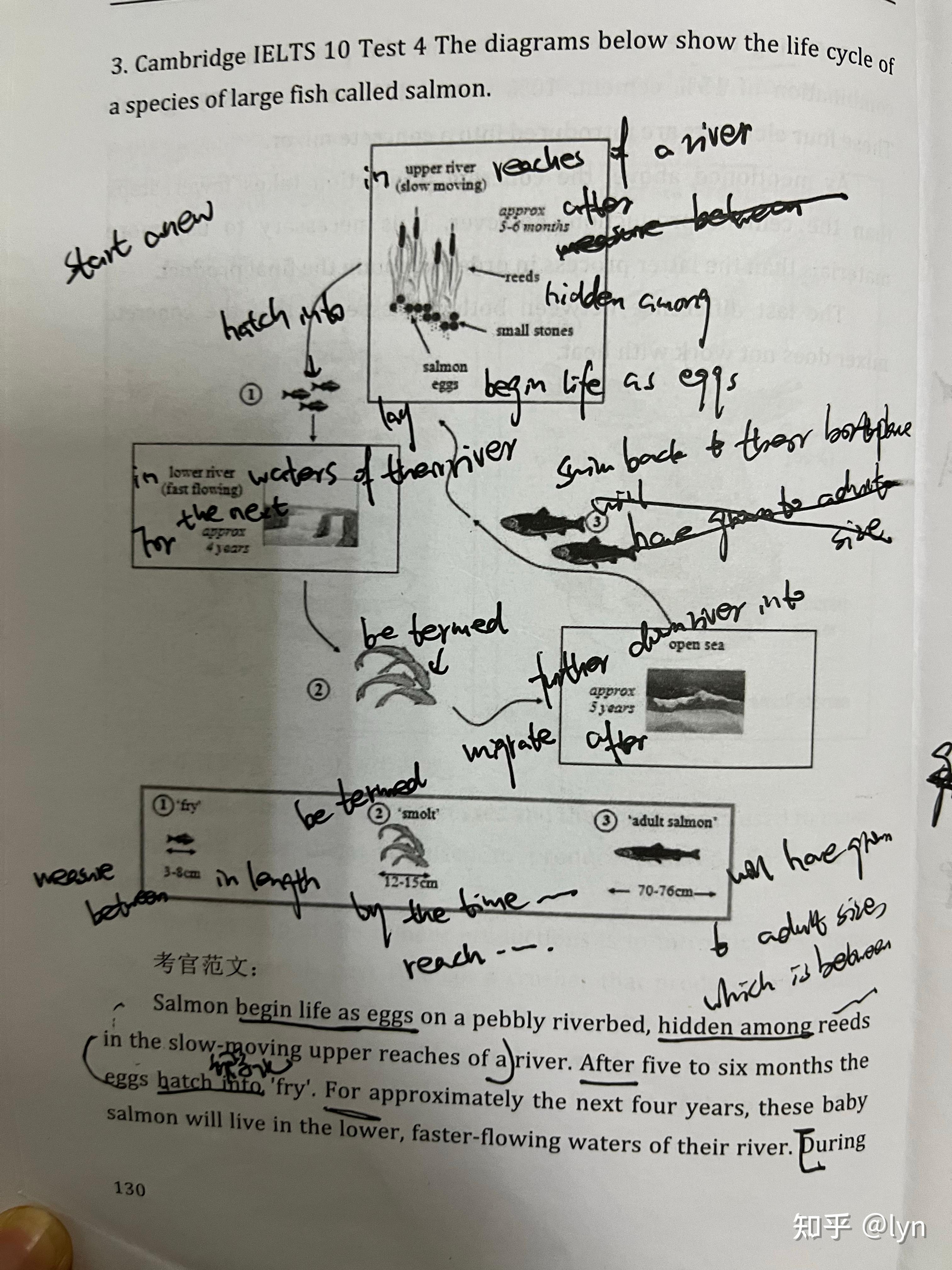 雅思小作文分类技巧整理 - 知乎