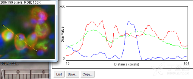 ImageJ的一些基本操作 - 知乎