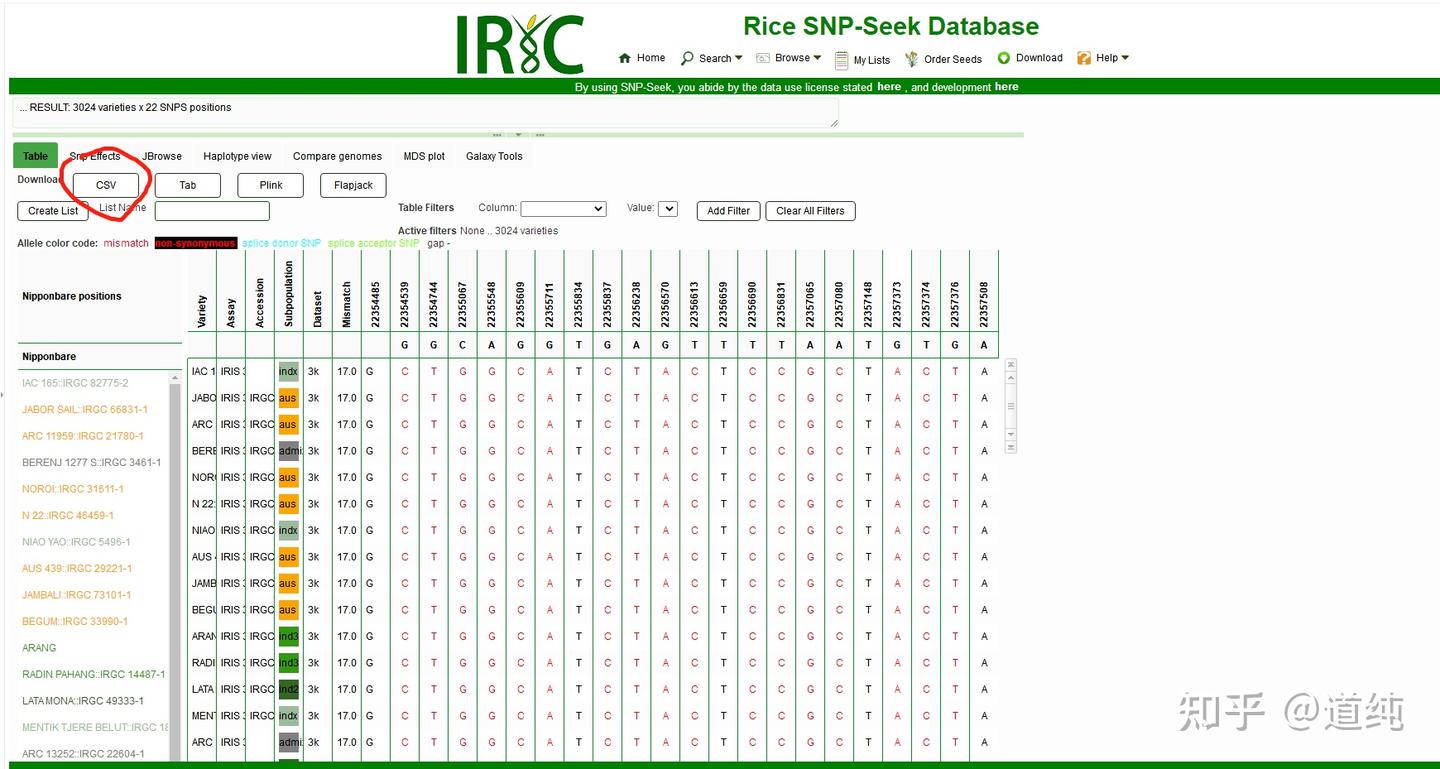 如何利用SNP-SEEK和RiceVarmap2进行水稻的单倍型分析 - 知乎